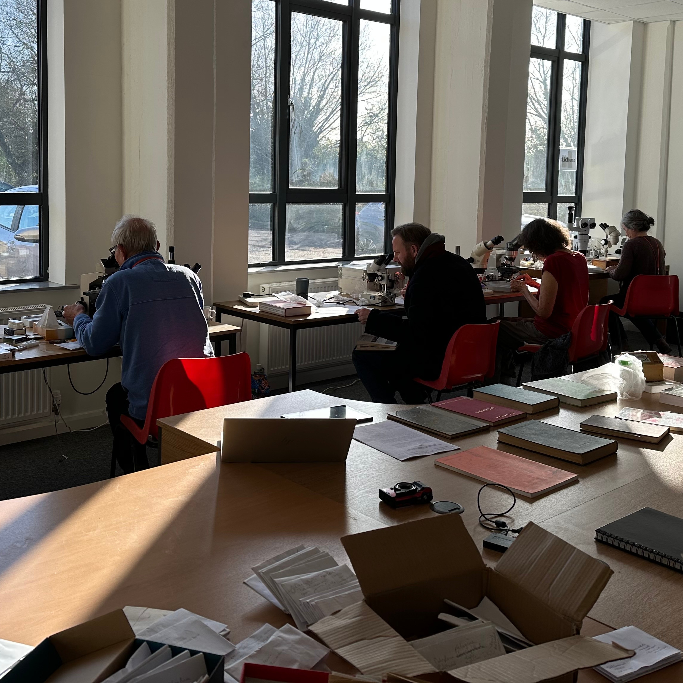 Gloucester Microscopy Workshop | The British Lichen Society